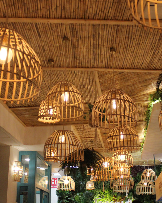 Collections – Lounge Lovers